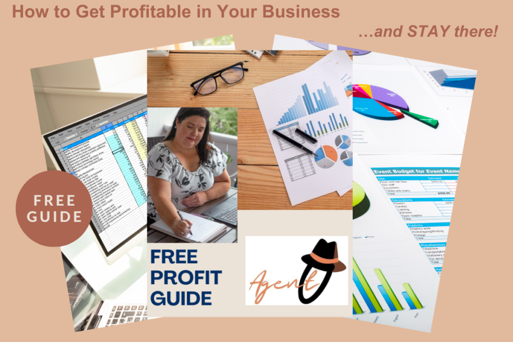 Agent O's Summary on Profit First